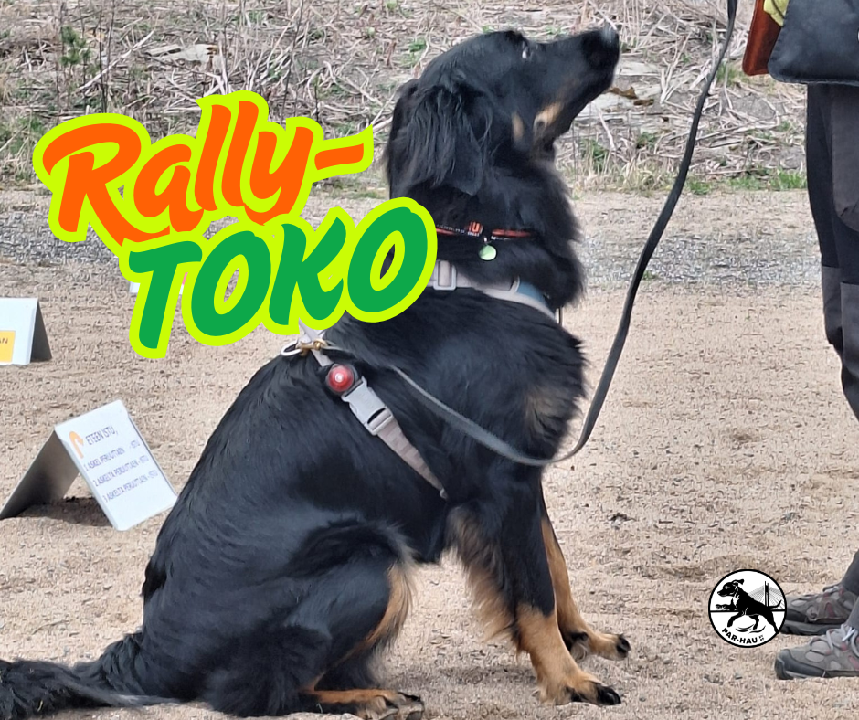 Prova på Rally-toko / tutustu Rally-tokoon 4. & 11.6.2025 – Par-Hau ry/rf
